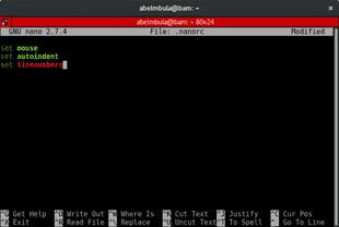How to configure the Nano Text Editor on GNU/Linux